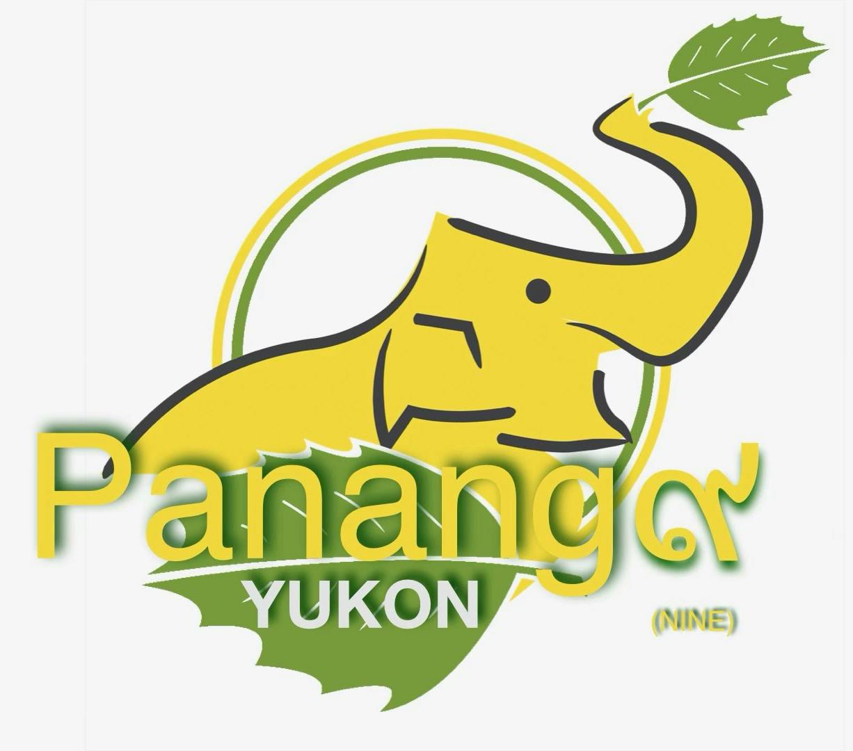 Panang 9 Thai Restaurant - Yukon, OK 73099 (Menu & Order Online)