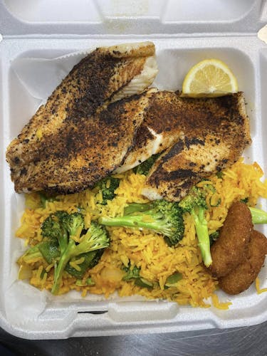 Home - Sharks Express